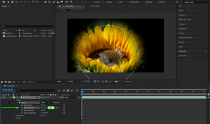 How to Make Mask After Effects | aejuice.com