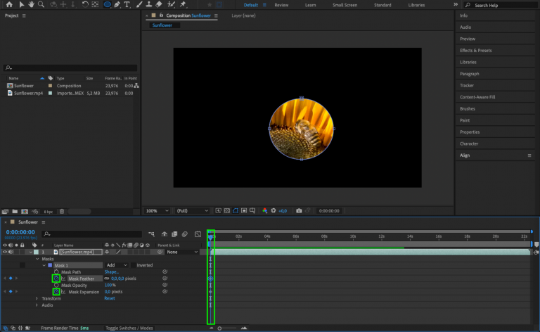 How to Make Mask After Effects | aejuice.com