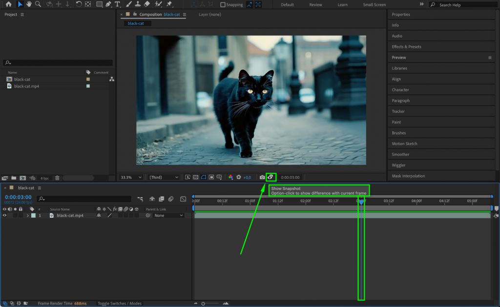 How to Take and Use Snapshots in After Effects | aejuice.com