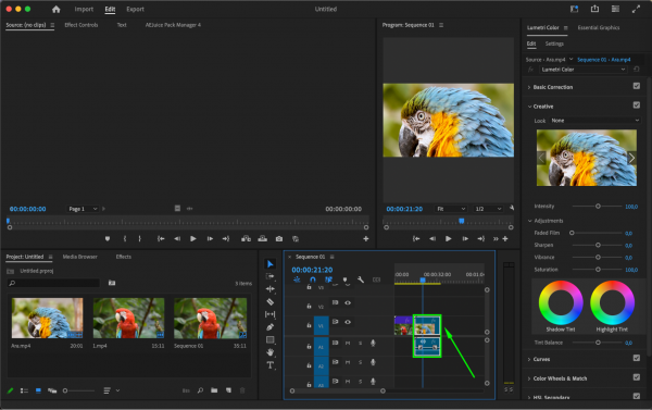 How to Use After Effects and Premiere Pro Together | aejuice.com