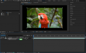 How to Scale to Frame Size in After Effects | aejuice.com